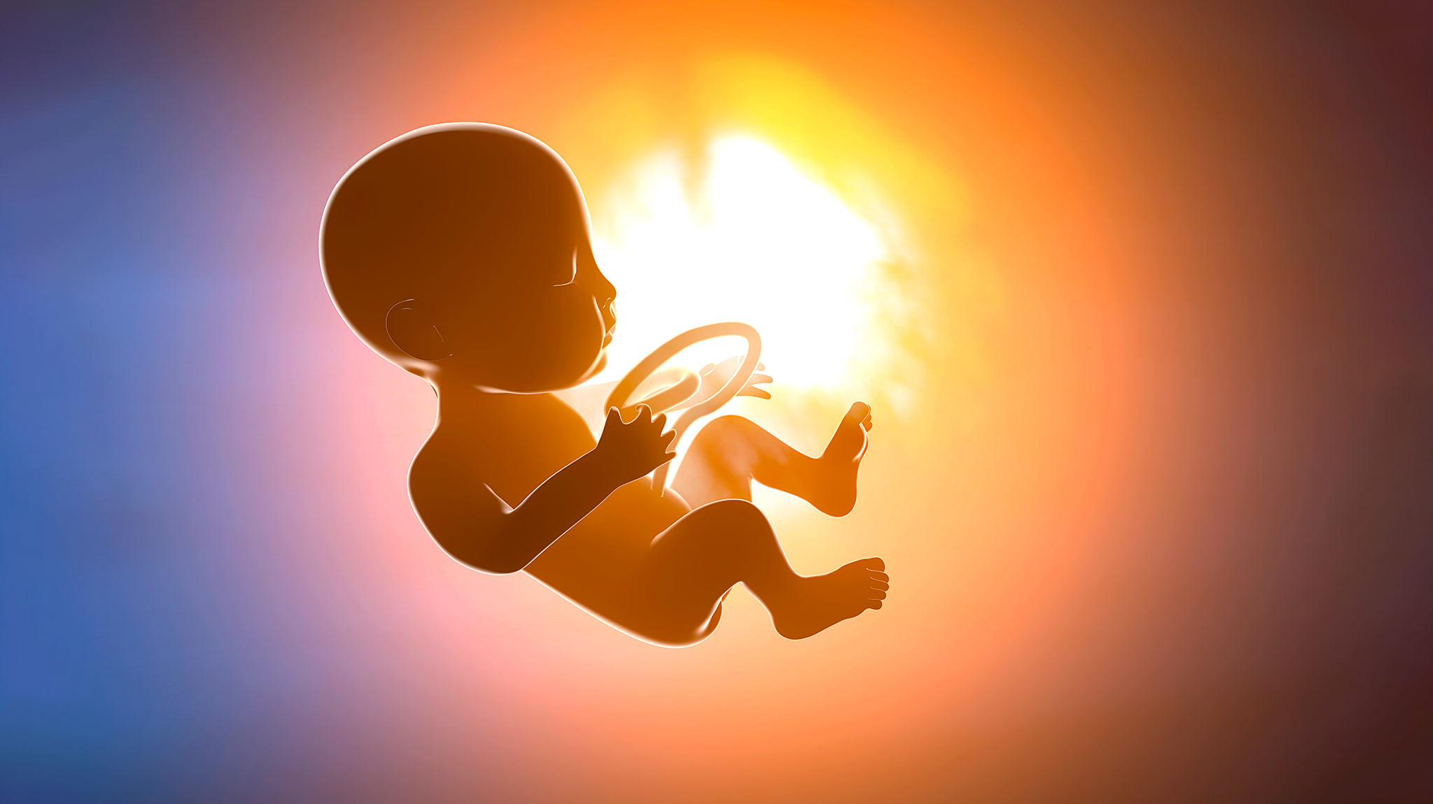 Preterm Birth Risk Assessment/Prevention - Rheumatology Academy