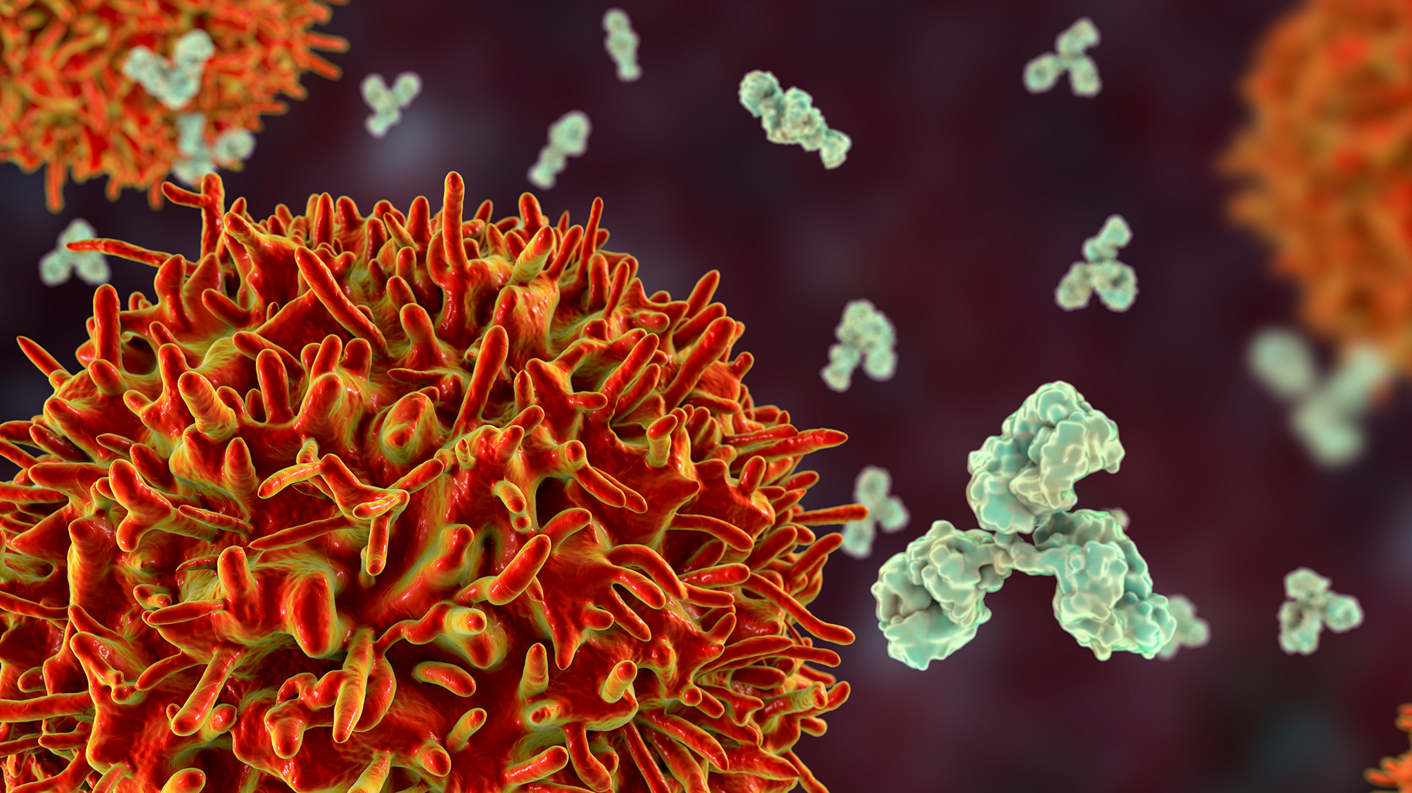 Allergy And Clinical Immunology Rheumatology Academy